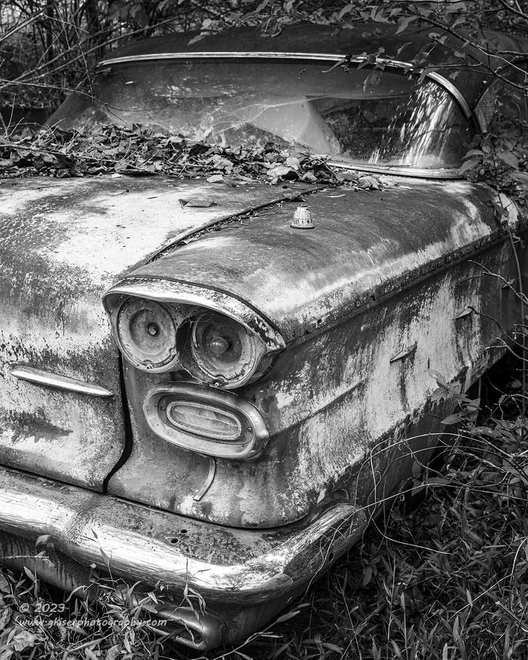 Photographer In Wonderland (Part 1) – Greg Kiser Photography
